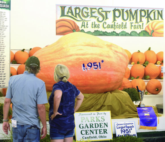 Salem resident breaks pumpkin weight record at the Canfield Fair | News ...
